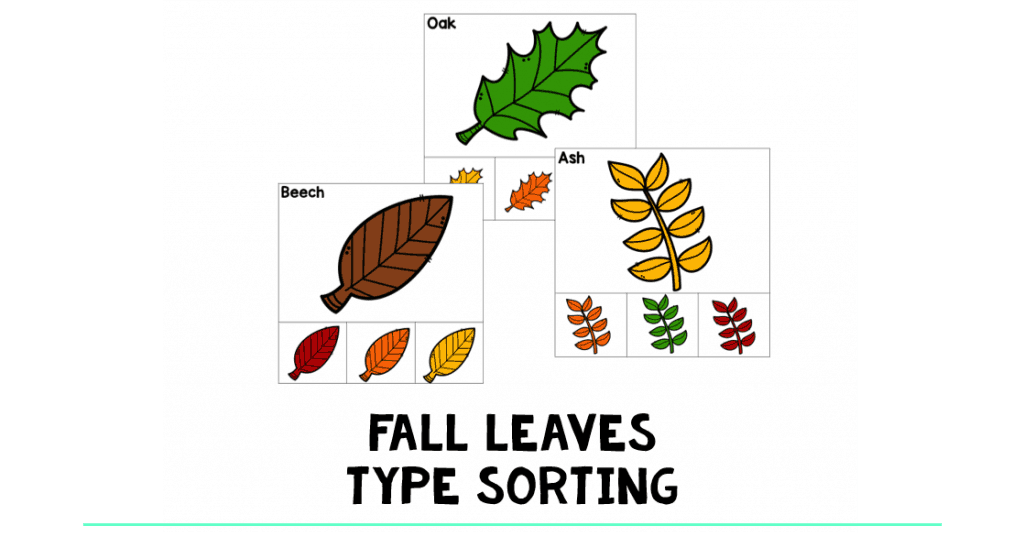 Fall Leaves Type Sorting Activity : FREE 3 Types of Leaves - FluffyTots